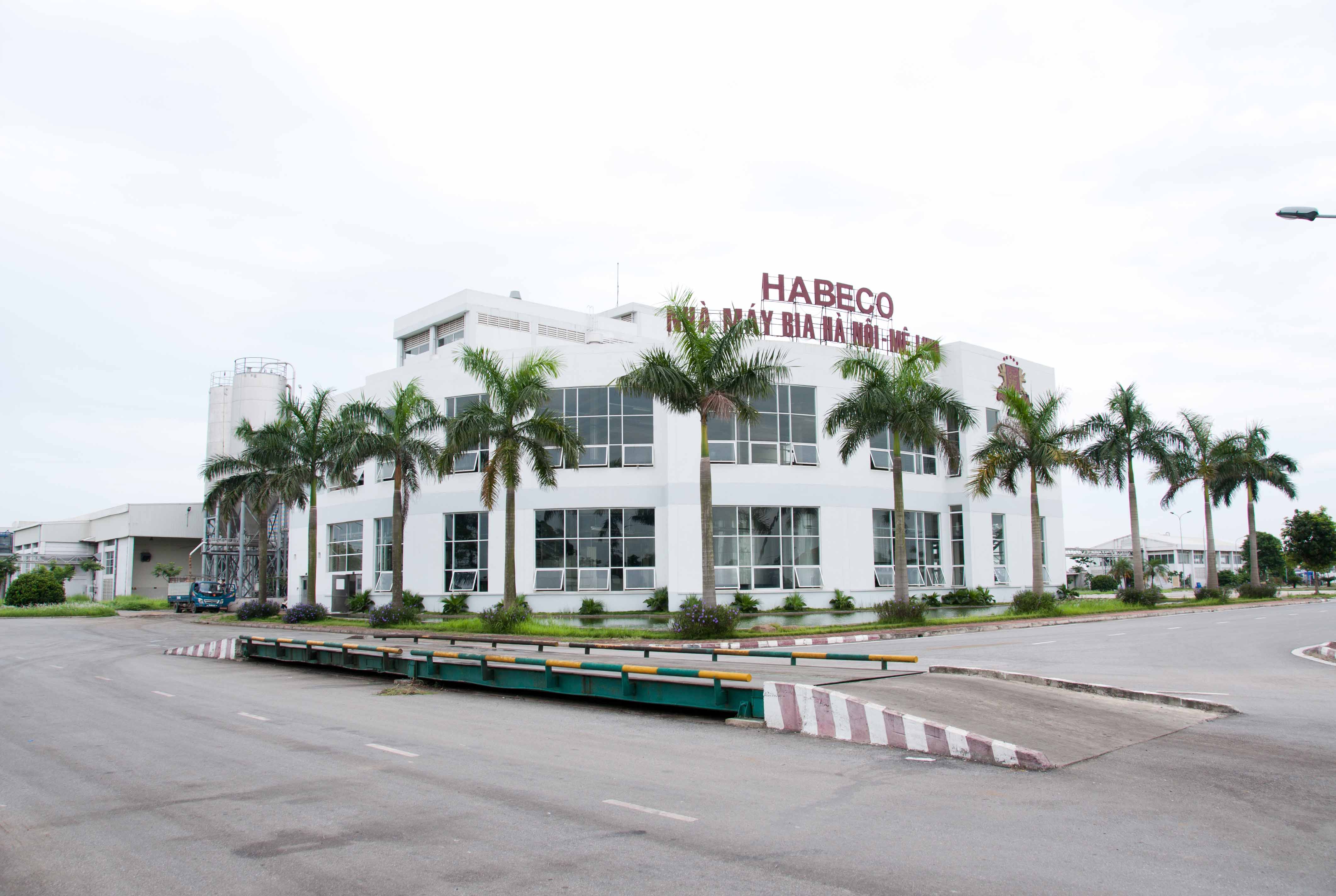 Habeco báo lãi 62 tỷ đồng quý đầu năm | doisongtieudung.vn